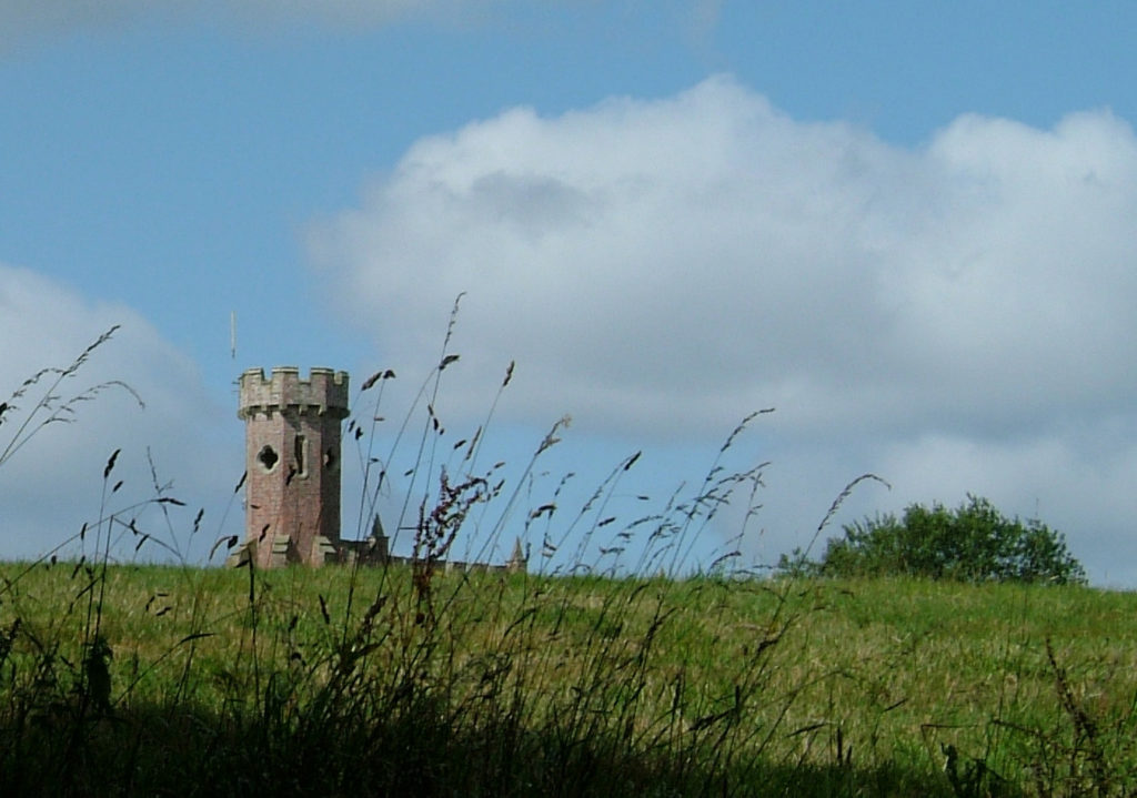 Deer Park Campsite – Eridge Park Estate