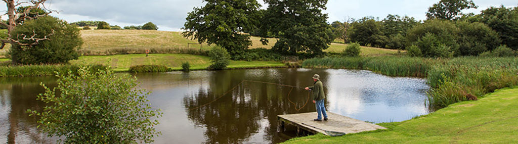 Deer Park Campsite – Eridge Park Estate