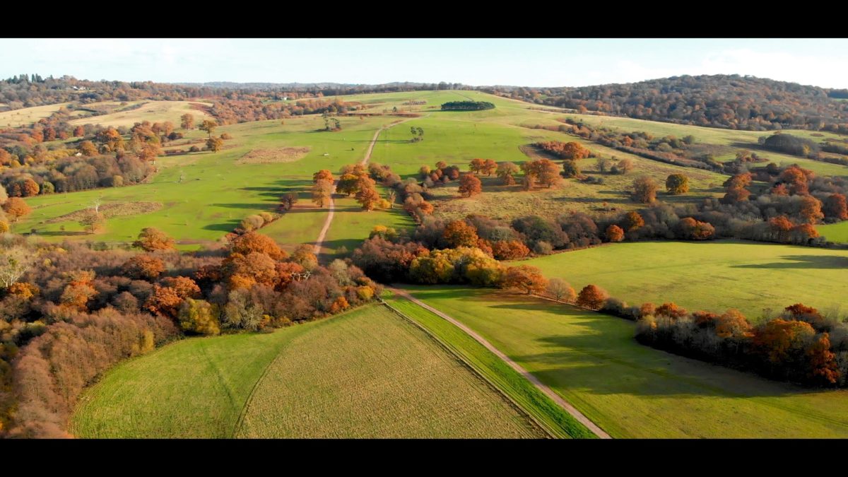 Venue hire – Eridge Park Estate