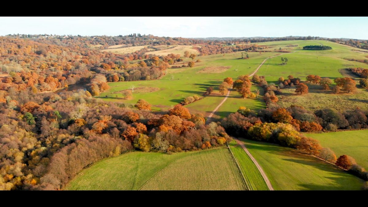 Venue hire – Eridge Park Estate