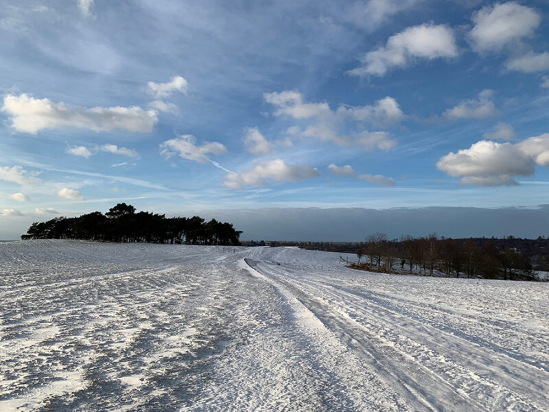 Eridge Estate views – Eridge Park Estate