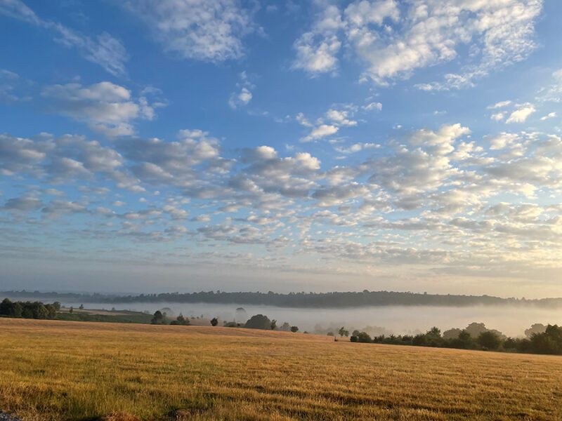 Eridge Estate views – Eridge Park Estate