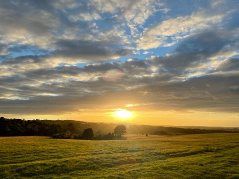 Eridge Estate views – Eridge Park Estate