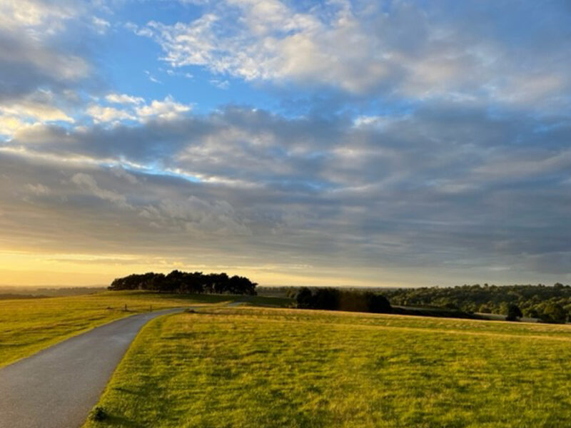 Eridge Estate views – Eridge Park Estate